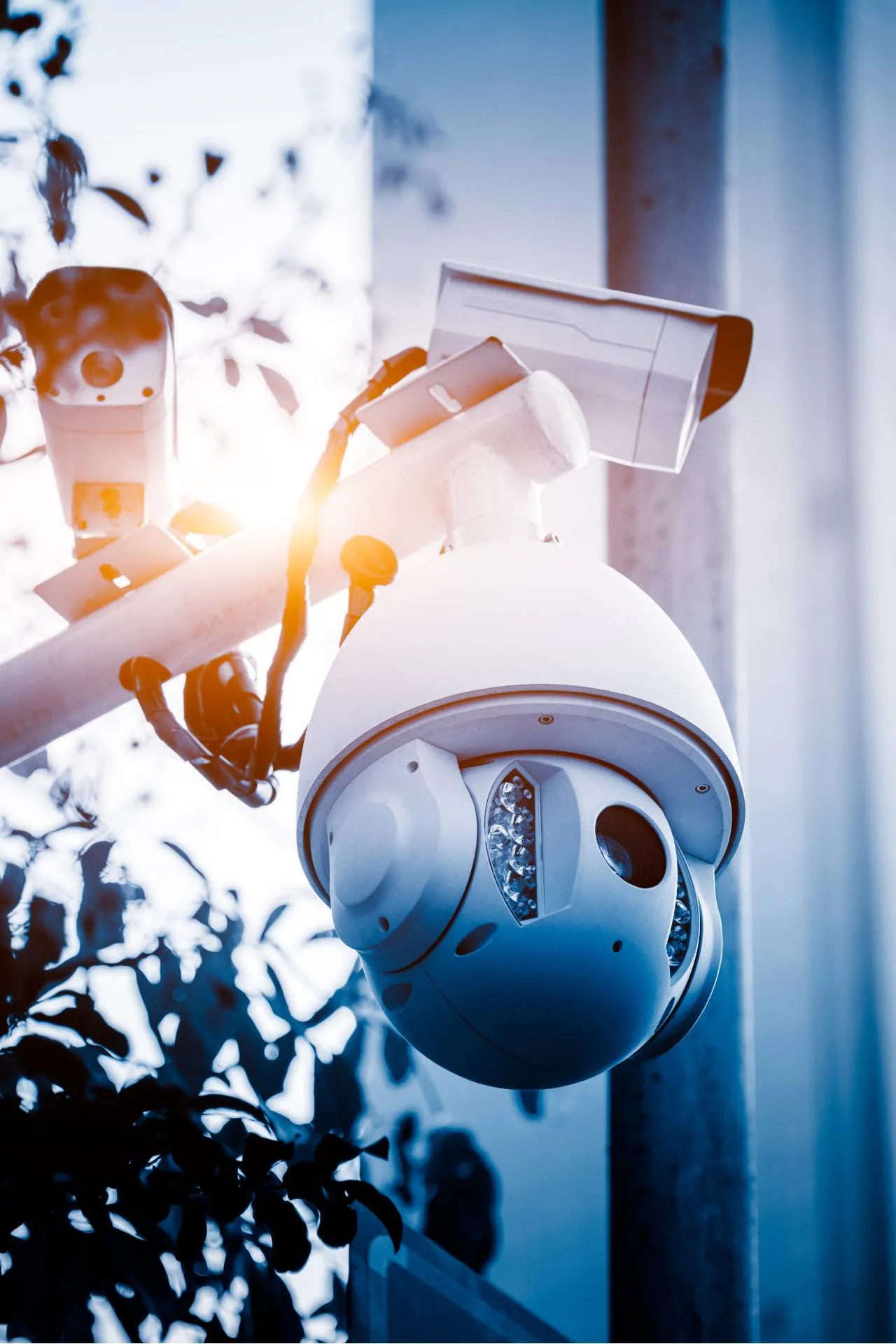 SERVICES - Security, Facilities & Maintenance